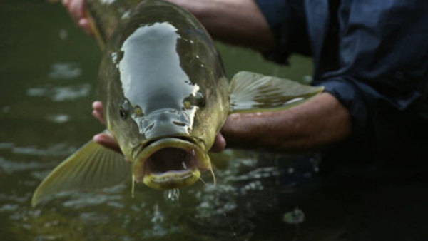 Jeremy Wade's Mighty Rivers Season 1 Episode 1