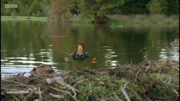 Andy's Wild Adventures Season 2 Episode 19