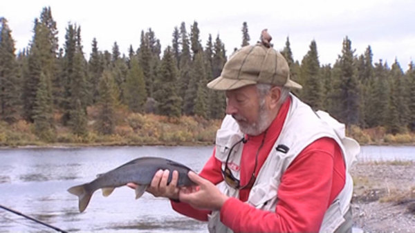 John Wilson's Fishing World Season 1 Episode 1