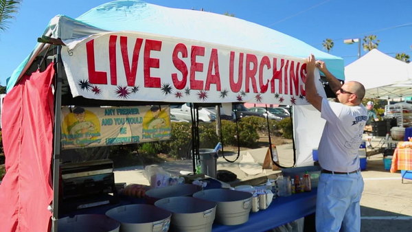 Bizarre Foods: Delicious Destinations Season 4 Episode 13