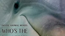 Inside Animal Minds Season 1 Episode 2