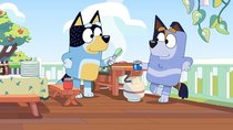 Bluey Season 1 Episode 1 Recap