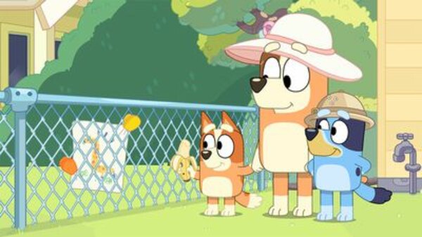 Bluey Season 1 Episode 35 Recap