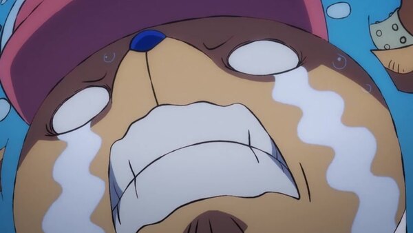 One Piece Episode 893 info and links where to watch