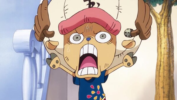 One Piece Episode 895 info and links where to watch