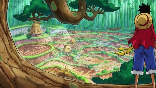 One Piece Episode 897 info and links where to watch