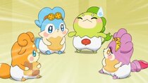 Kamisama Minarai: Himitsu no Cocotama episodes (Anime TV 2015 - 2018)