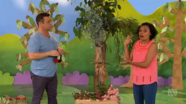 Play School Season 321 Episode 1