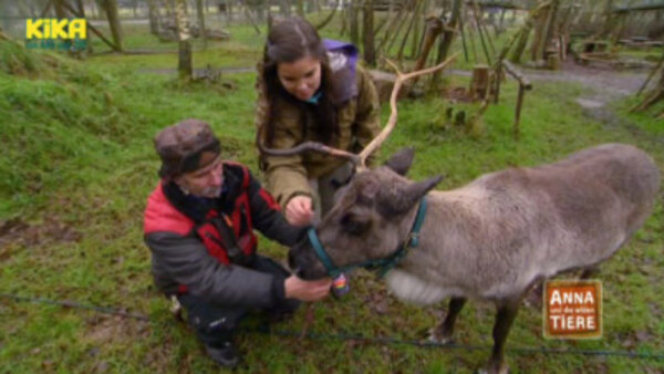 Anna and the wild animals Season 2 Episode 4