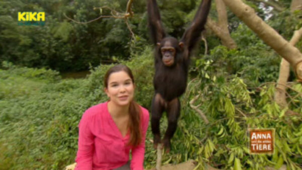 Anna and the wild animals Season 4 Episode 2