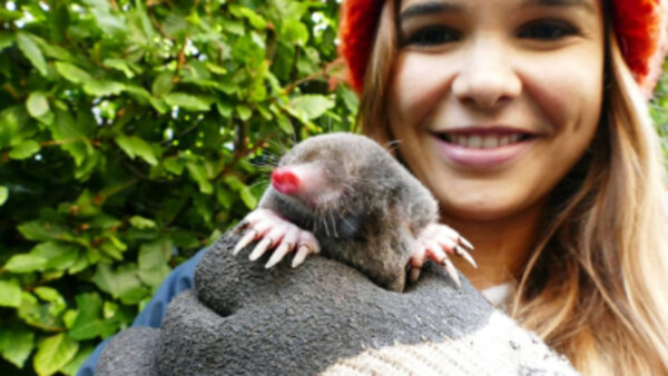 Anna and the wild animals Season 7 Episode 7