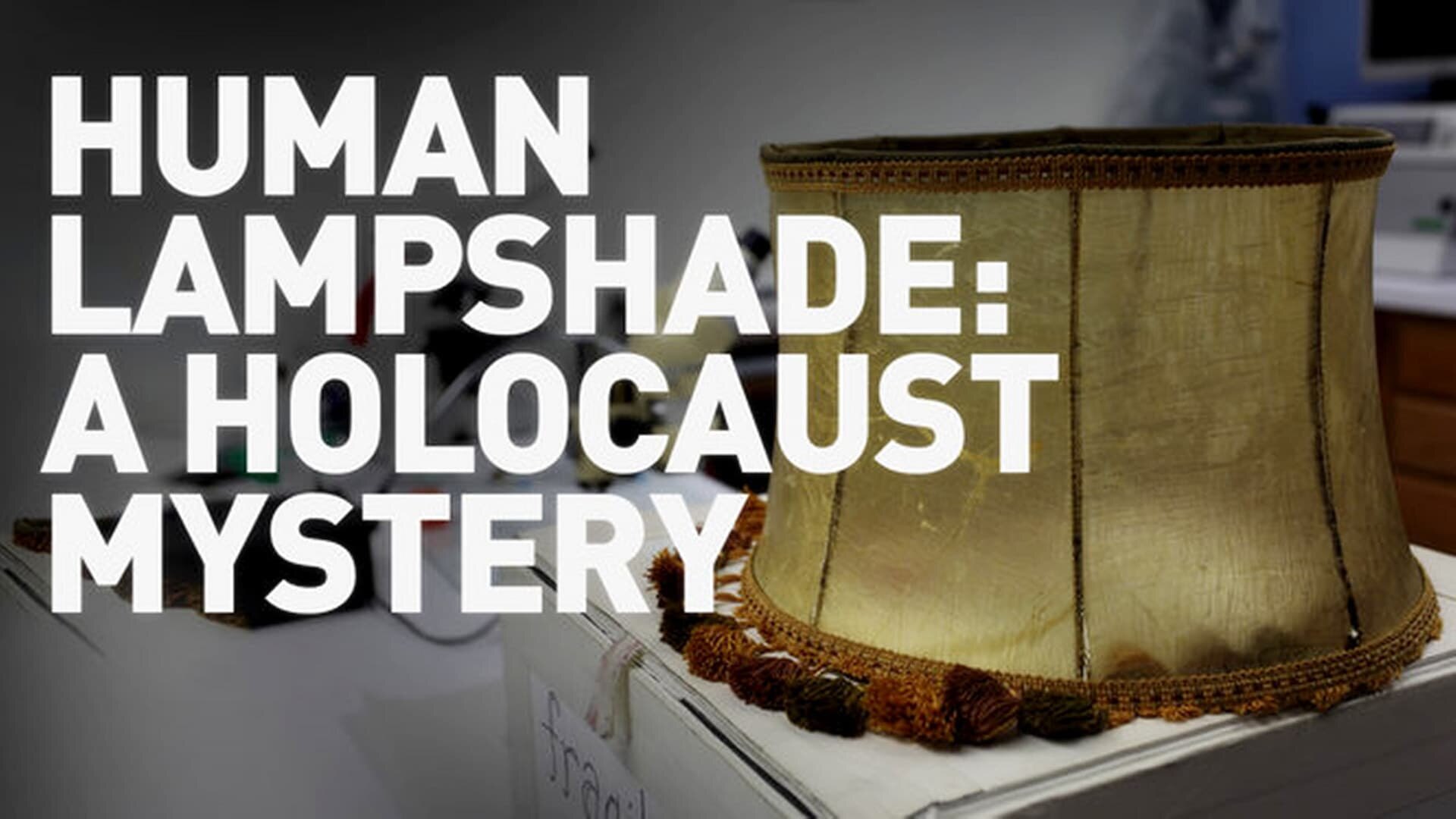Human Lampshade: A Holocaust Mystery (2012)