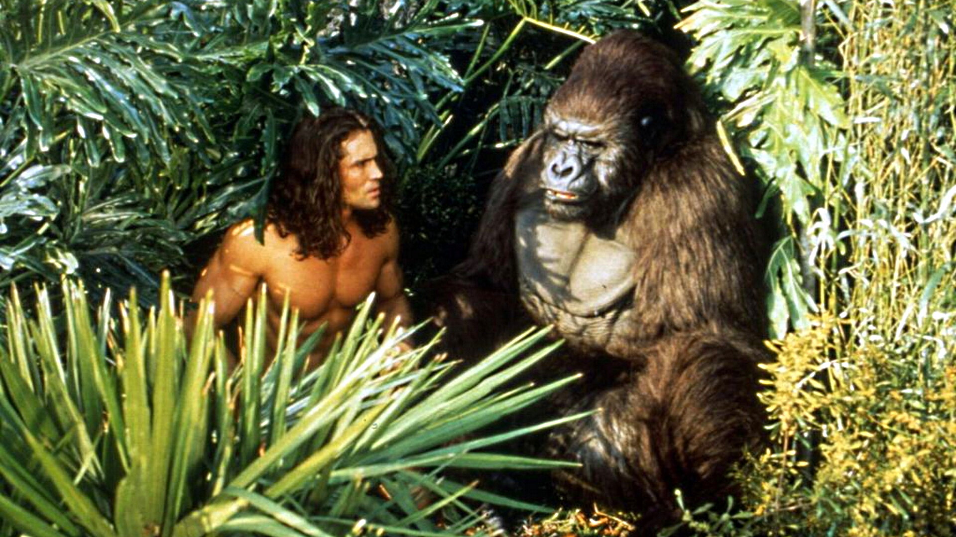 Tarzan: The Epic Adventures episodes (TV Series 1996 - 1997)