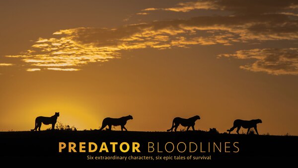 Predator Bloodlines Season 1 Episode 2