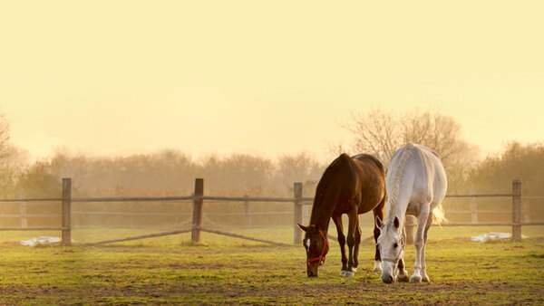 Riding High Season 2 Episode 1