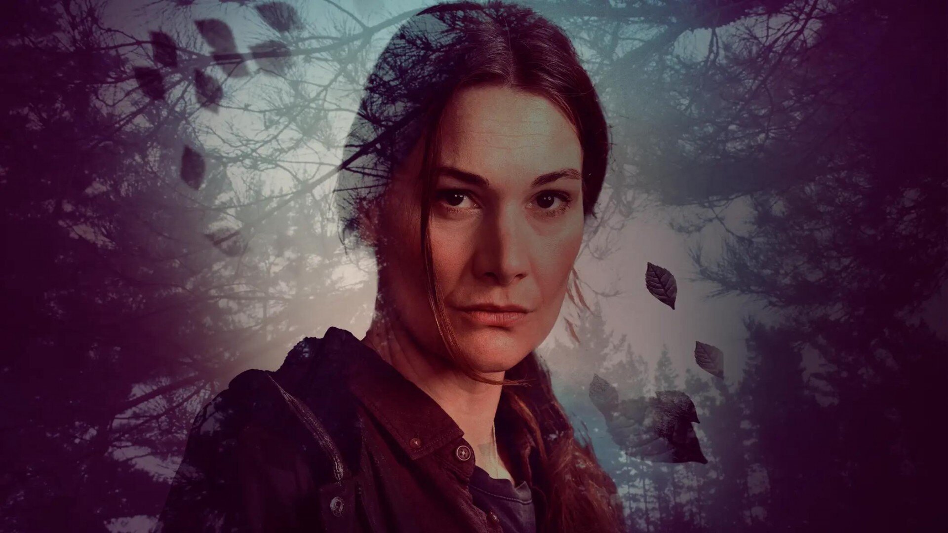 Donkerbos countdown - how many days until the next episode