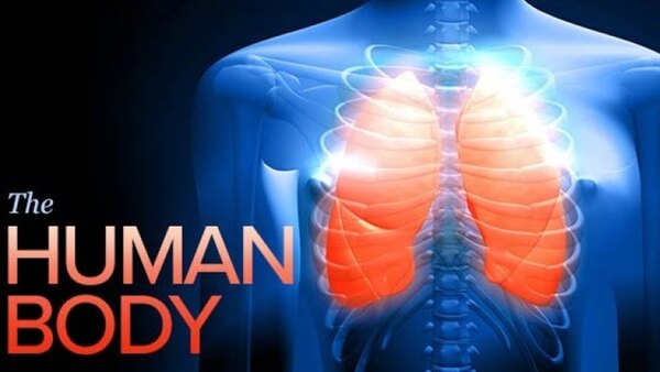 The Human Body: How We Fail, How We Heal Season 1 Episode 5