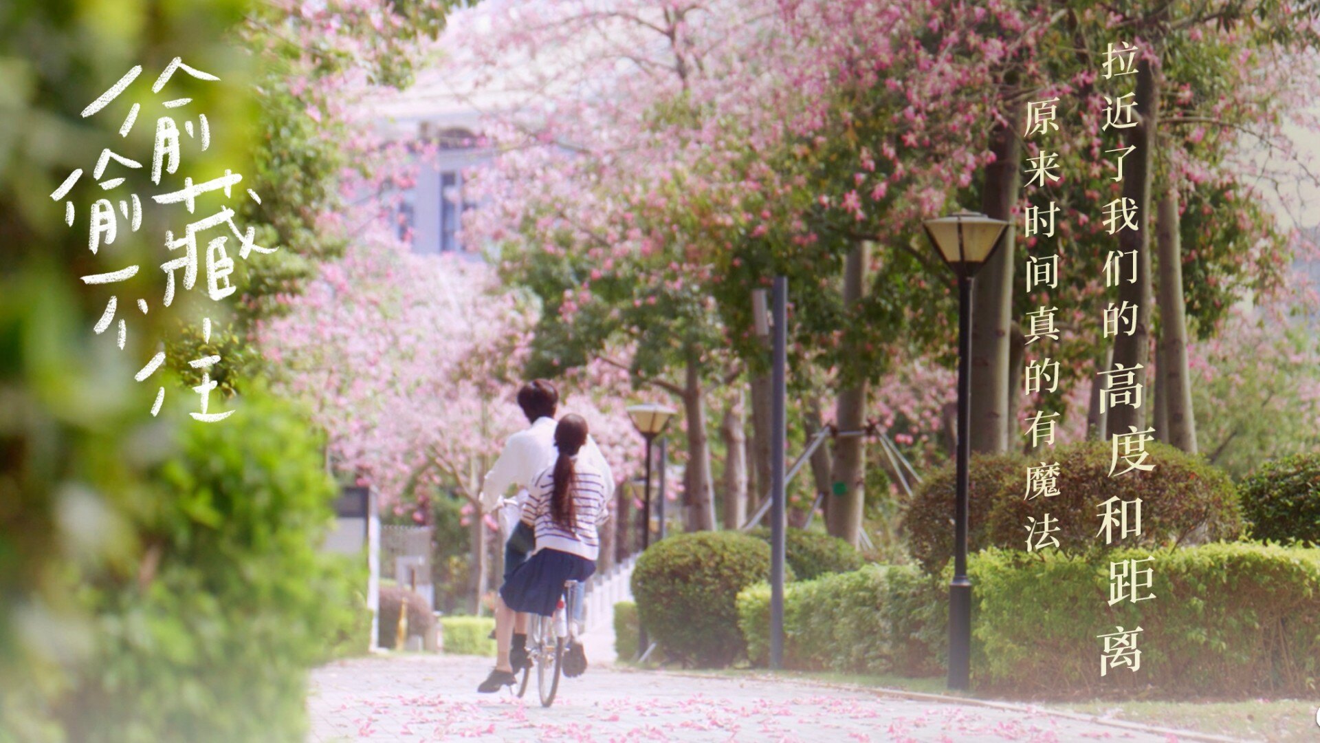Hidden Love (TV Series 2023)