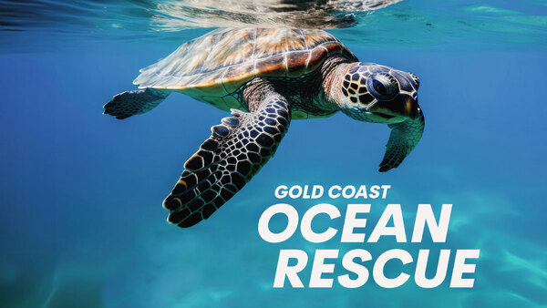 Gold Coast Ocean Rescue Season 1 Episode 1