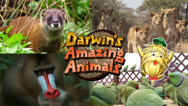 Darwin's Amazing Animals Season 9 Episode 1