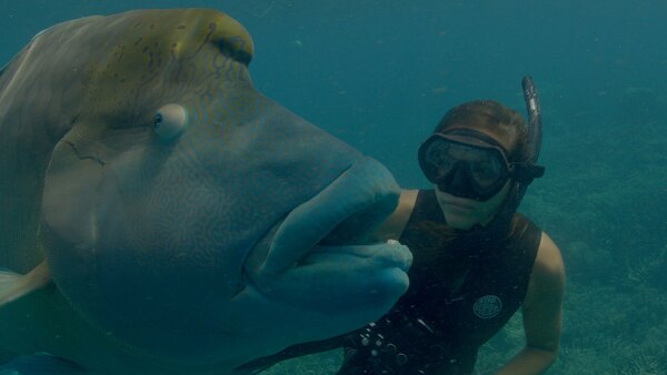 Deep Dive... Season 2 Episode 4