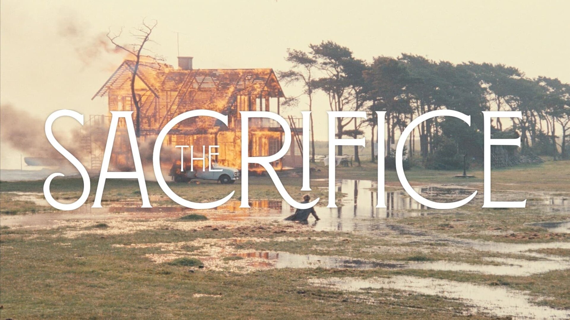 Internet Archive (Good films that are free to Watch), a list of Movies ...