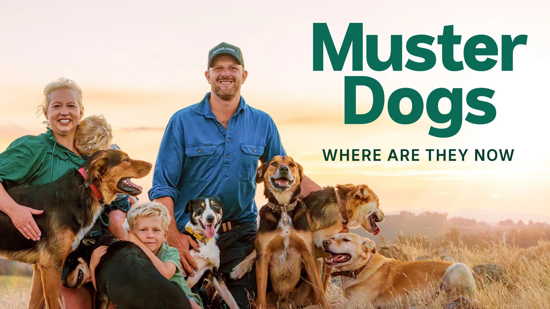 Muster Dogs: Where Are They Now countdown - how many days until the ...
