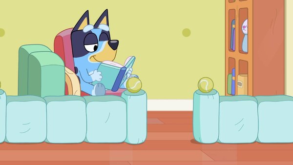 Bluey Book Reads Season 2 Episode 4