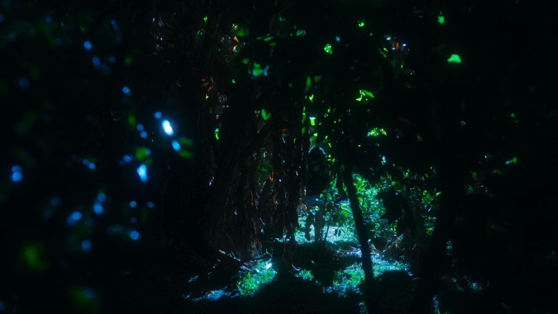 Lo Chan Lo Bassin countdown - how many days until theater release