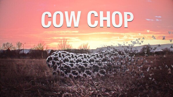 Cow Chop Episode 3
