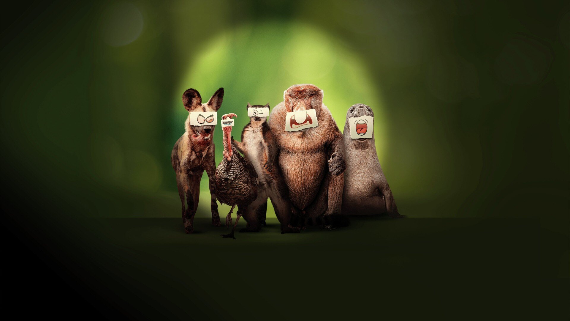 Underdogs countdown - how many days until the next episode