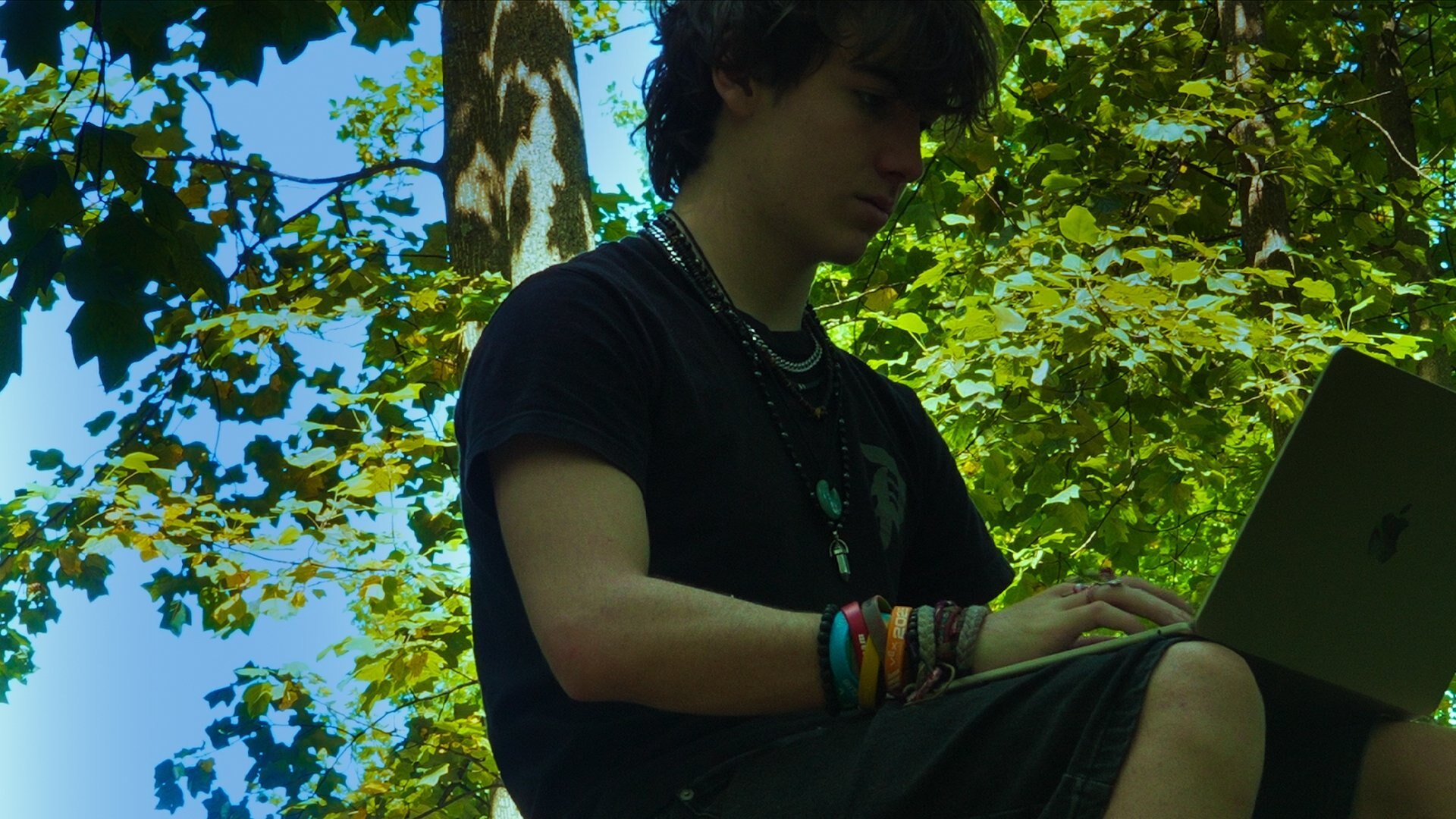 A Flash in The Pan countdown - how many days until theater release