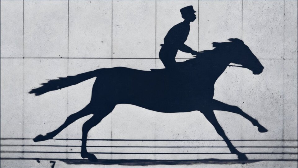 The Horse in Motion reviews (1878)