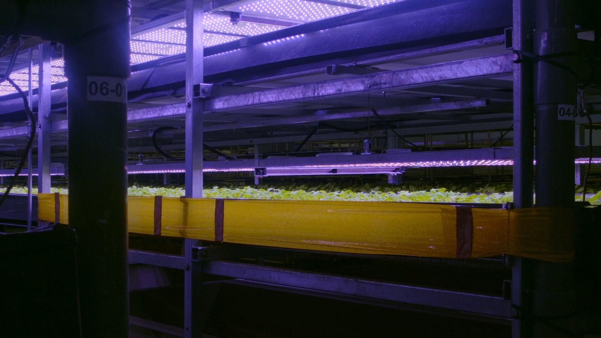 De Stille countdown - how many days until theater release