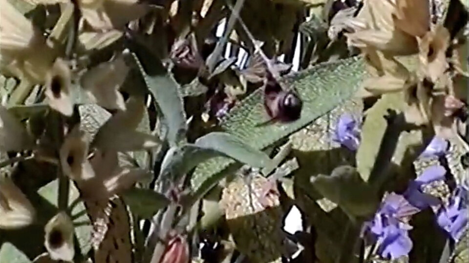 Documenting Selfie Intern #1 (2019)