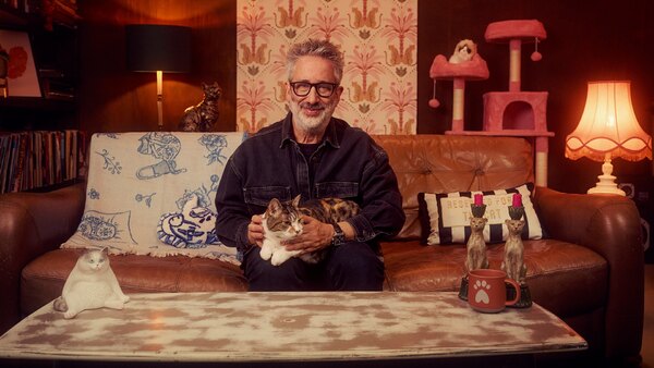 David Baddiel: Cat Man Season 1 Episode 1