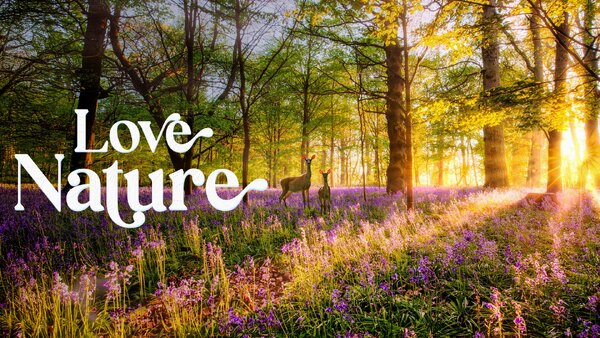 Love Nature Season 1 Episode 30