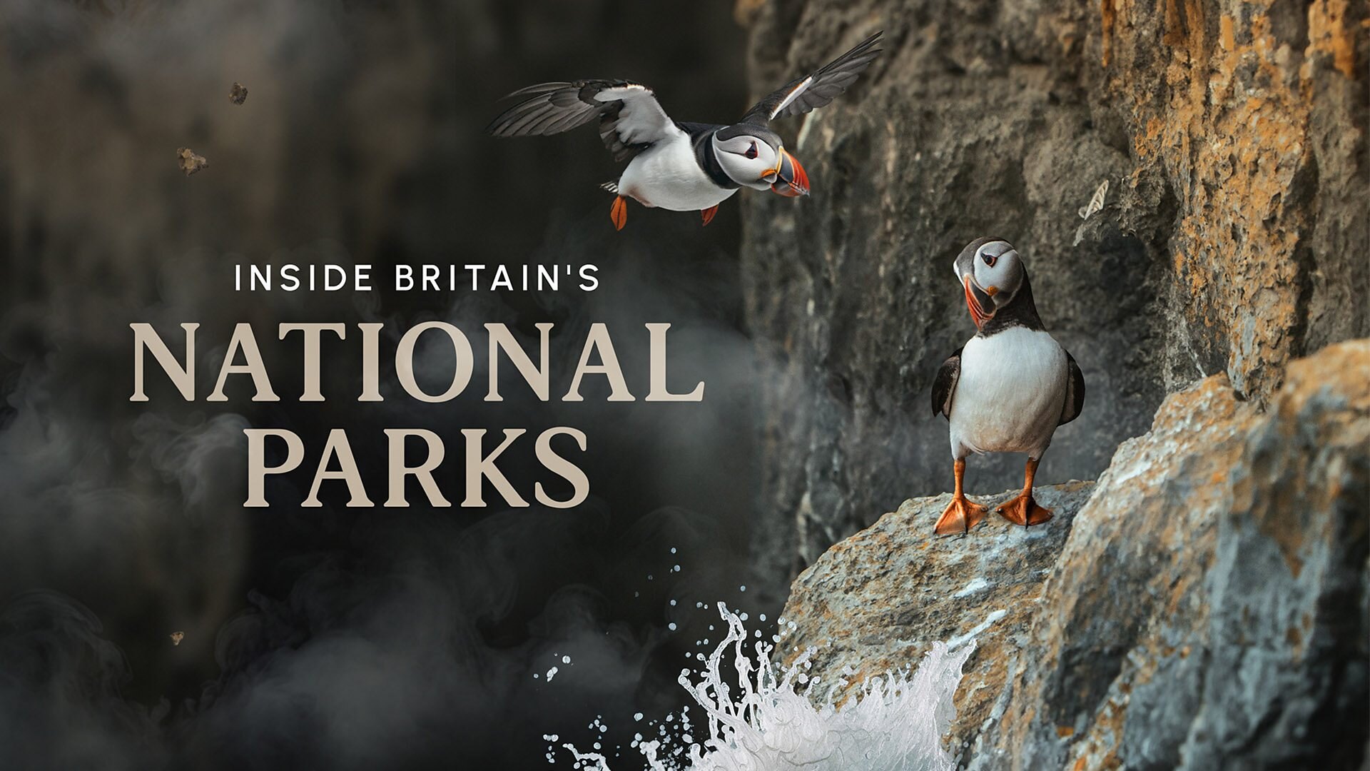 Inside Britain's National Parks countdown - how many days until the ...