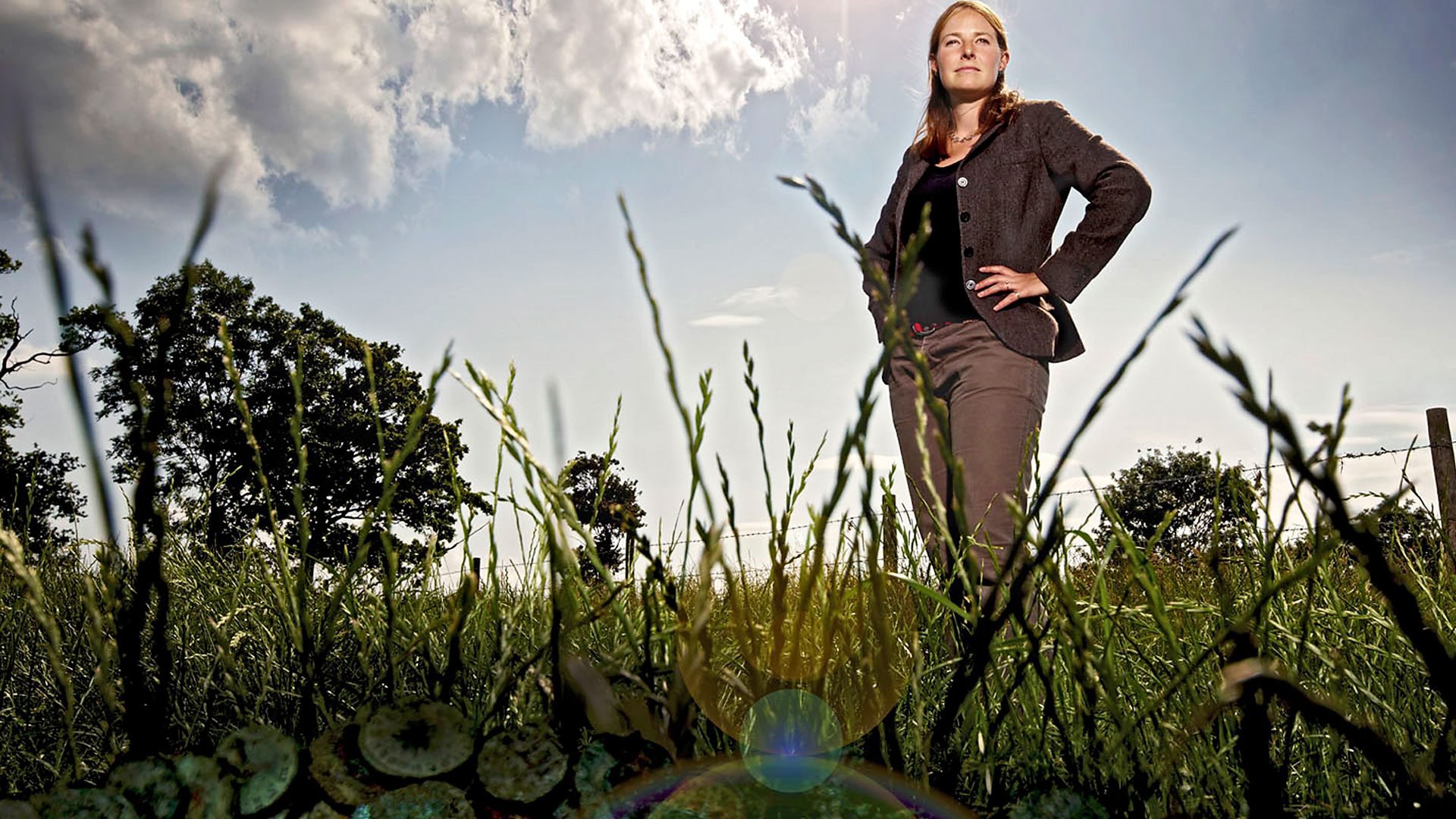 Digging for Britain (TV Series 2010 - Now)