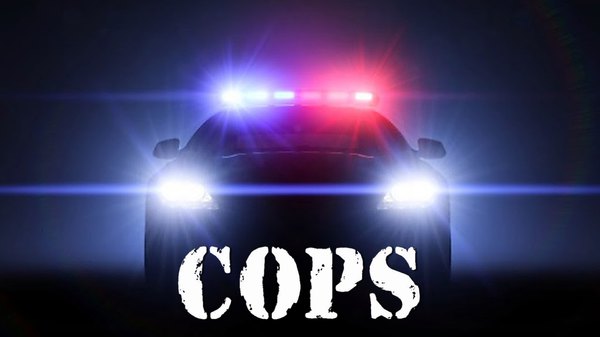 Cops Season 5 Episode 3