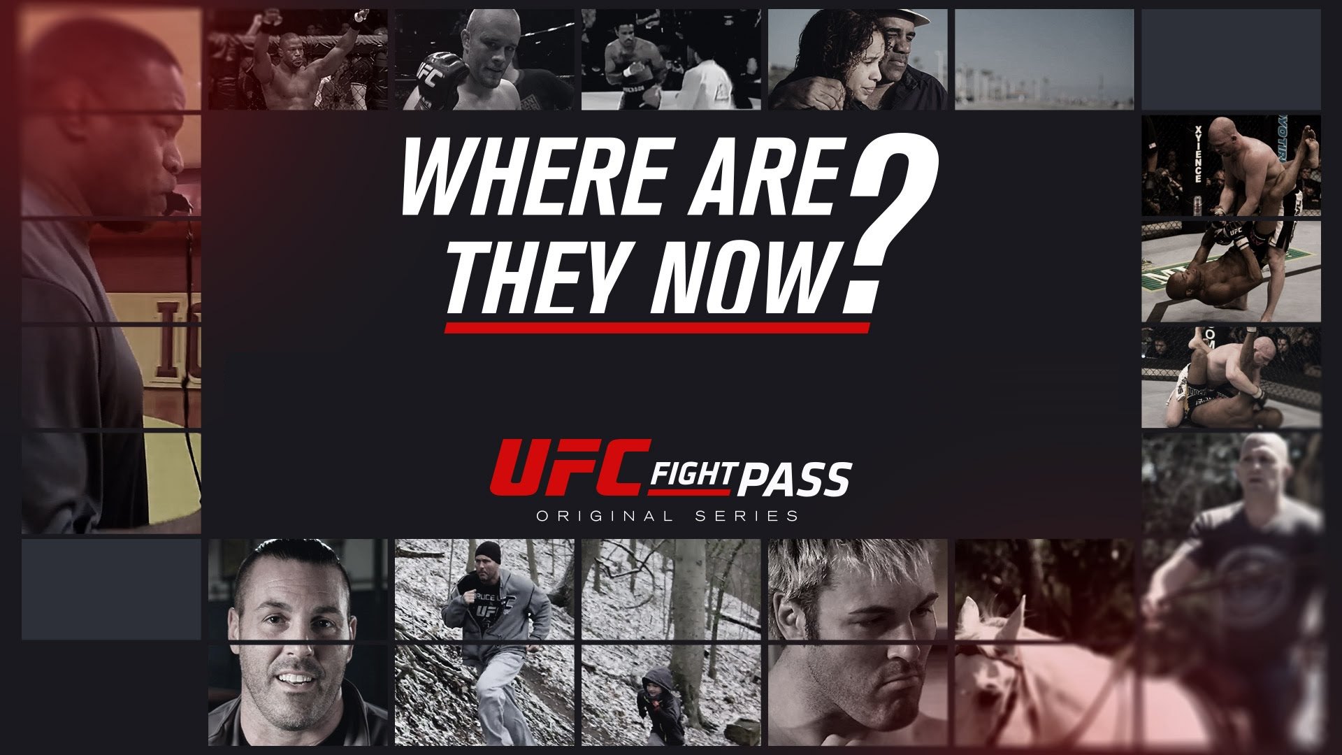 UFC: Where Are They Now? countdown - how many days until the next episode