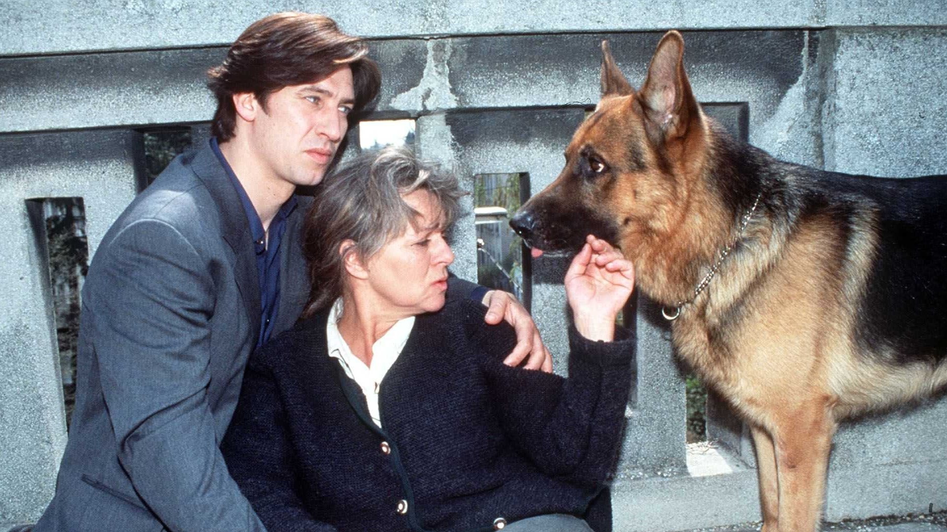Inspector Rex episodes (TV Series 1994 - 2015)