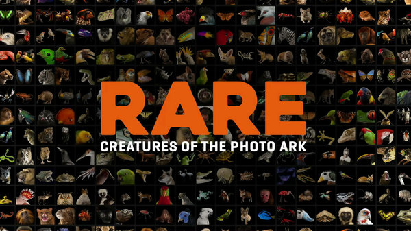 Rare: Creatures of the Photo Ark Season 2 Episode 1