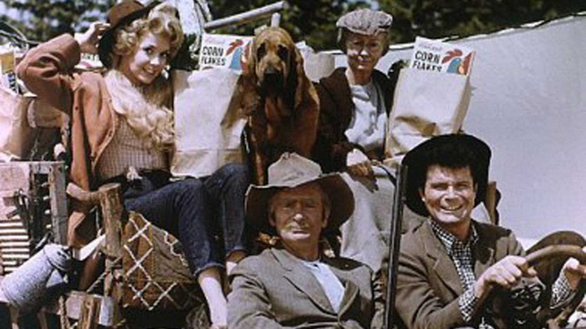 The Beverly Hillbillies (TV Series 1962 - 1971)