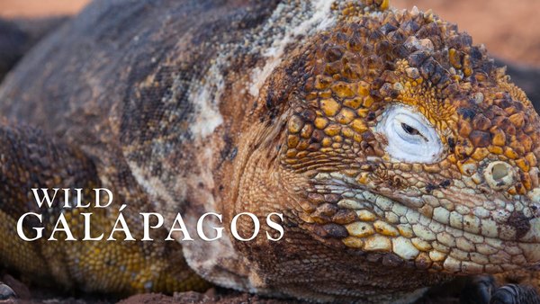 Wild Galápagos Season 1 Episode 1