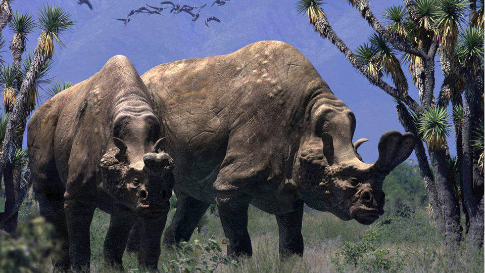 Walking with Beasts (TV Series 2001)