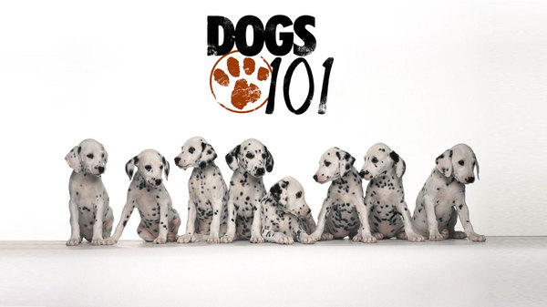 Dogs 101 (TV Series 2008 - 2016)