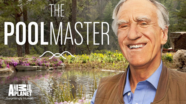 The Pool Master Season 2 Episode 7
