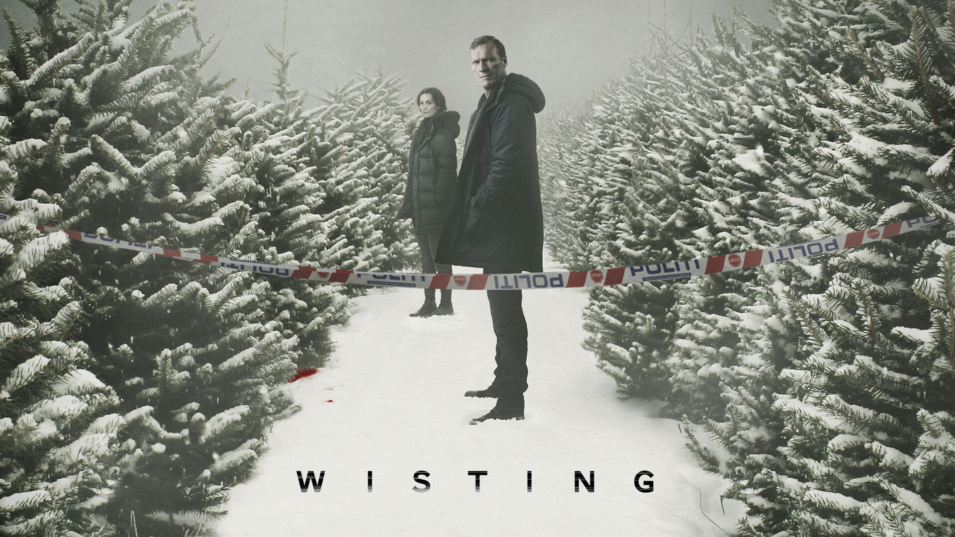 Wisting (TV Series 2019 - Now)