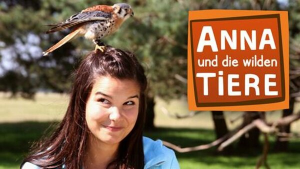 Anna and the wild animals Season 1 Episode 96